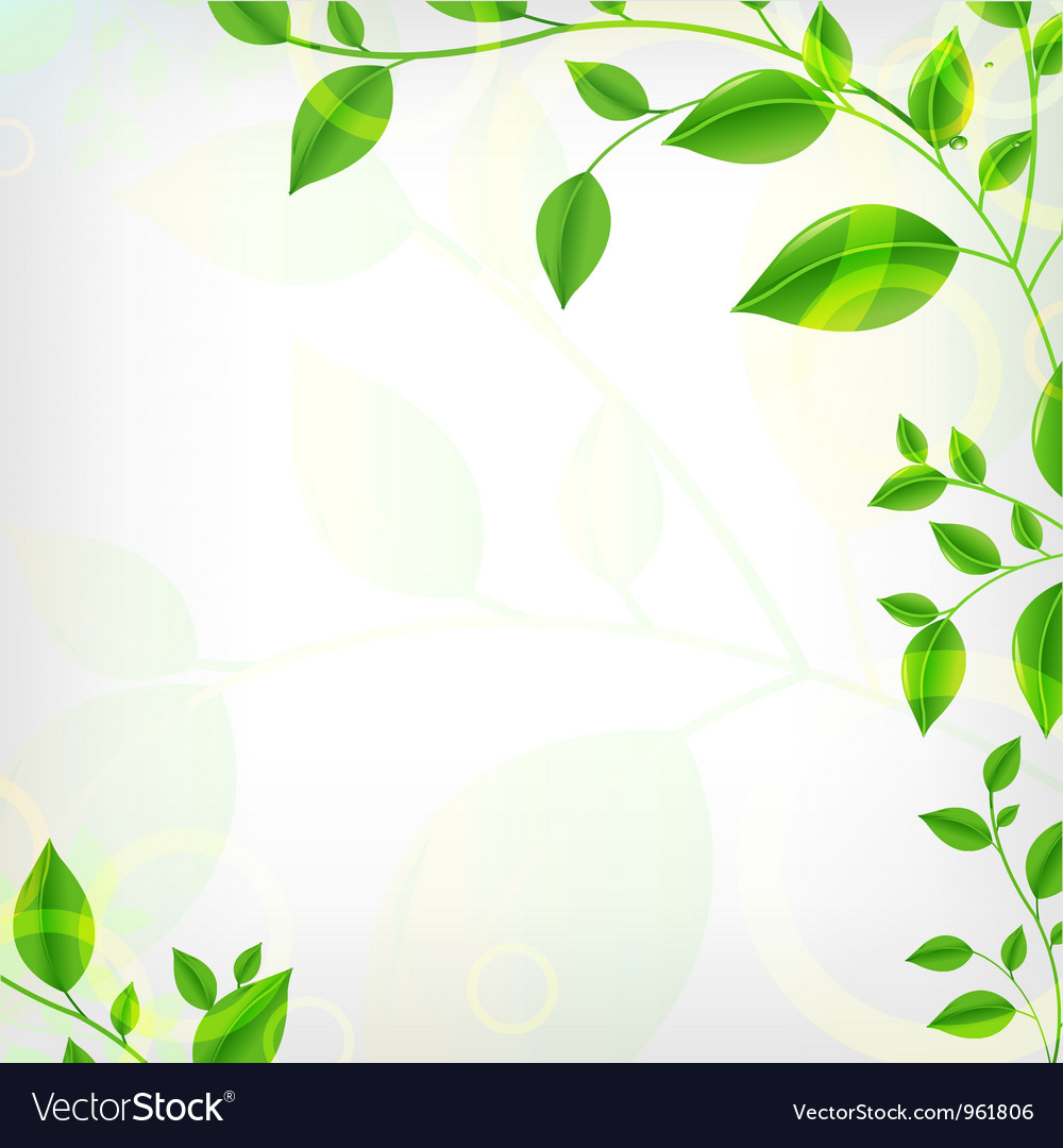 Vines Background Royalty Free Vector Image - VectorStock