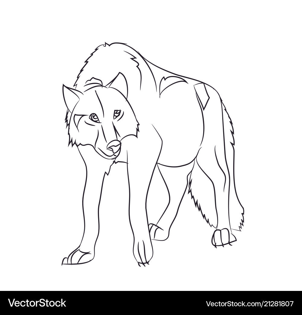 Wolf stands lines Royalty Free Vector Image - VectorStock