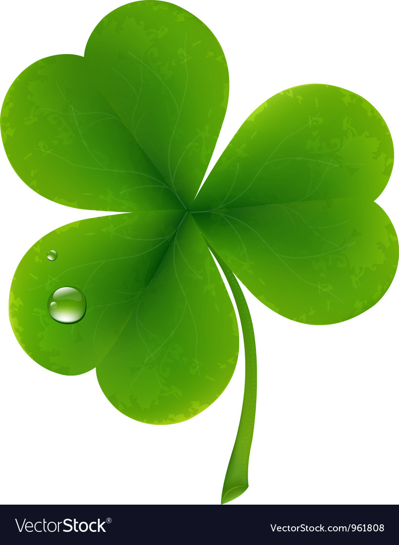 Clover Leaf Royalty Free Vector Image - VectorStock