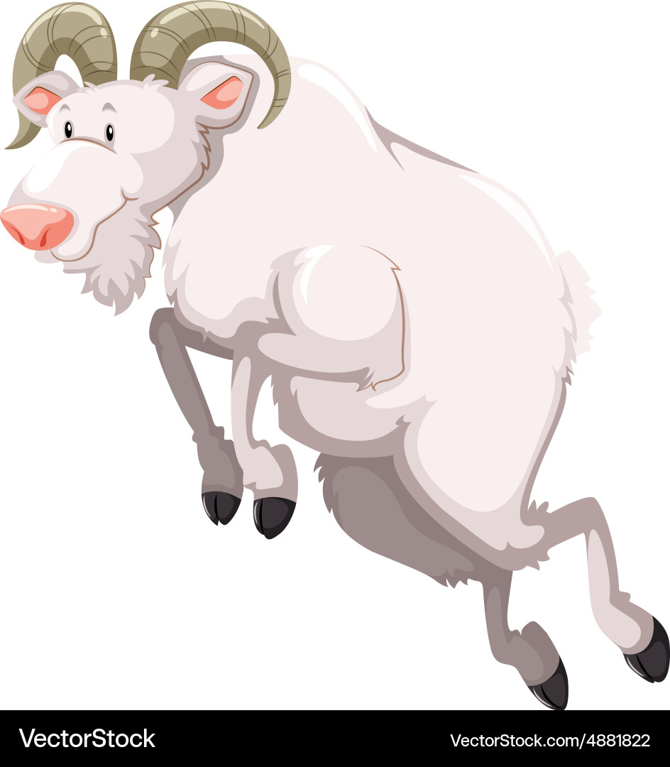 White goat Royalty Free Vector Image - VectorStock