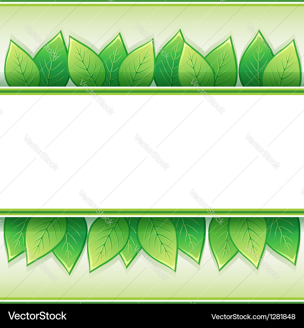 Eco background with leaves Royalty Free Vector Image