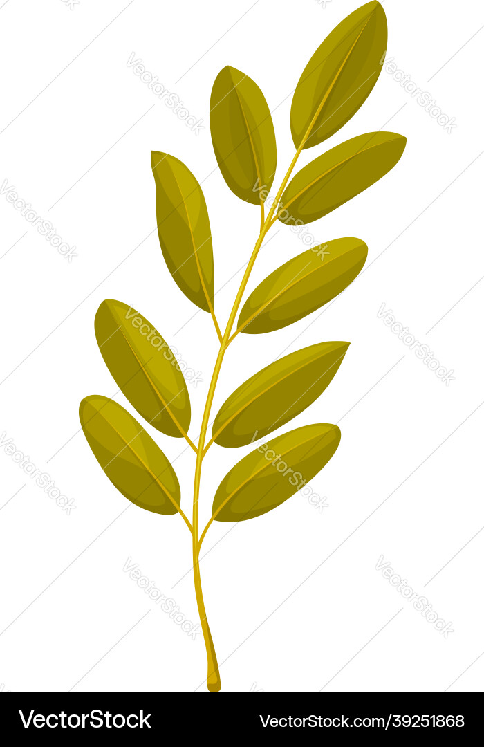 Rowan tree leaf cartoon isolated icon Royalty Free Vector