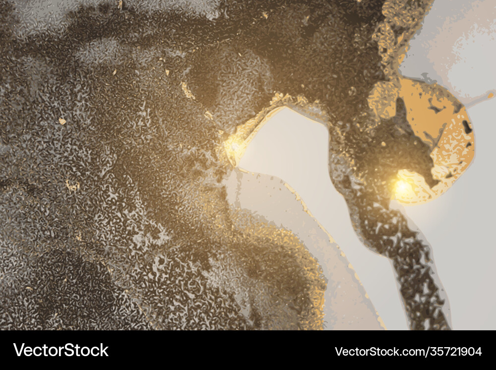 Grey and gold pattern with texture stone Vector Image