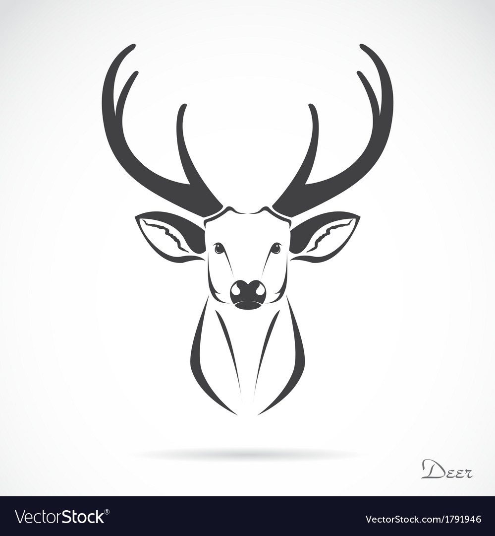 Deer Royalty Free Vector Image - VectorStock