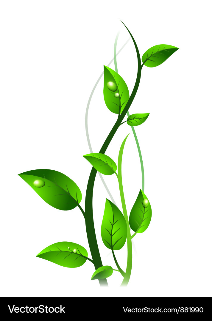 Green sprout Royalty Free Vector Image - VectorStock