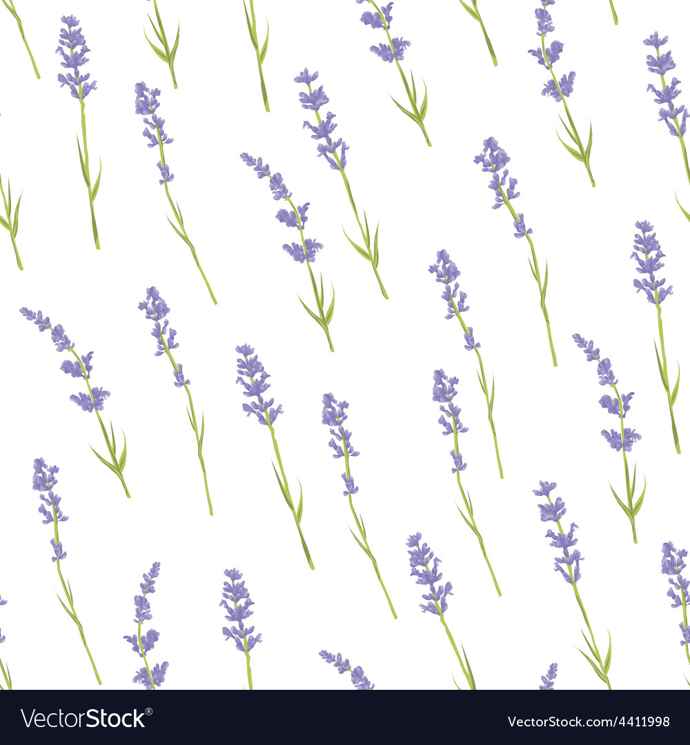 Seamless lavender pattern Royalty Free Vector Image