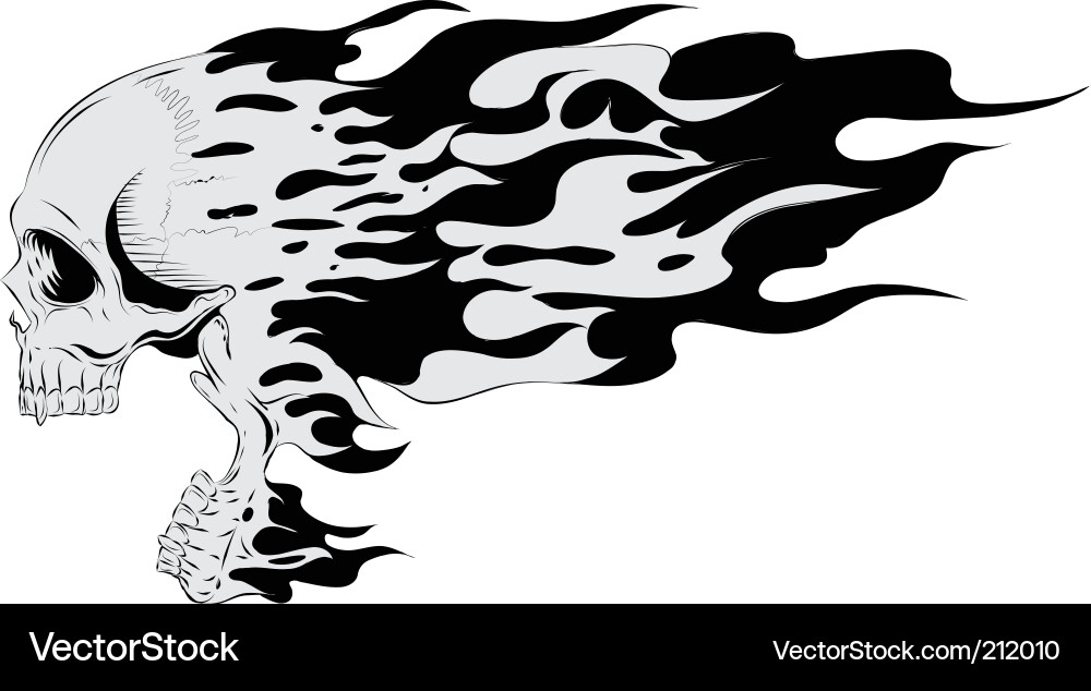 Skull with flames fliying Royalty Free Vector Image