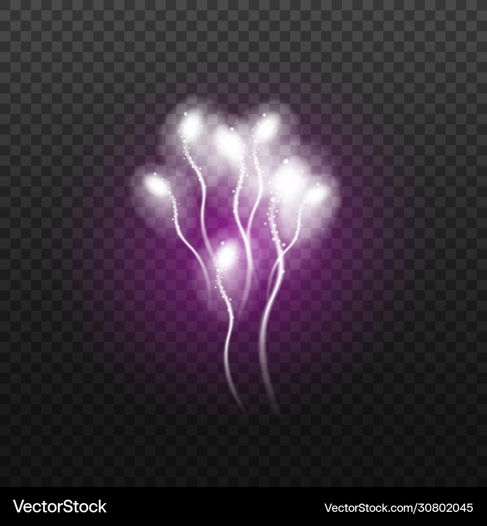Purple holiday firework isolated on dark Vector Image