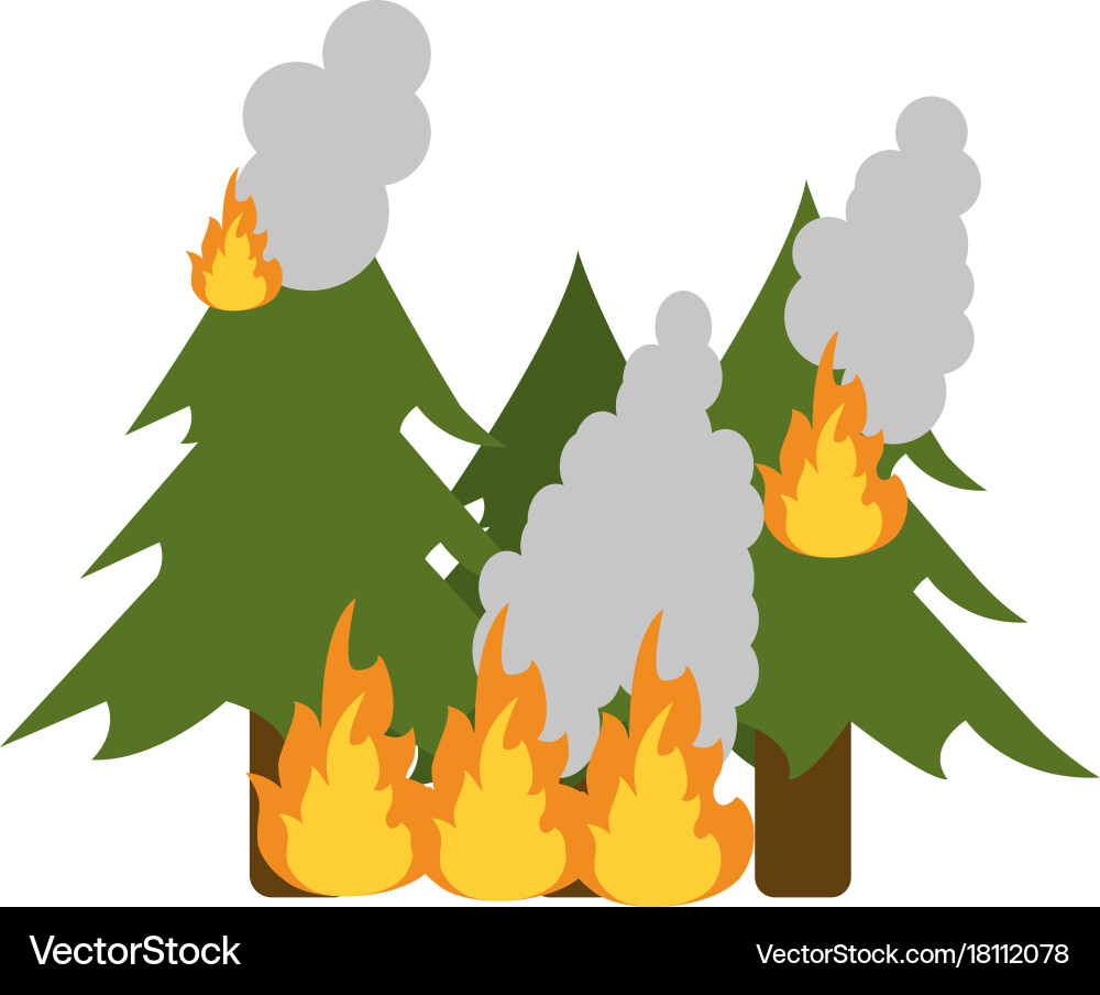 Pine tree forest on fire icon image Royalty Free Vector