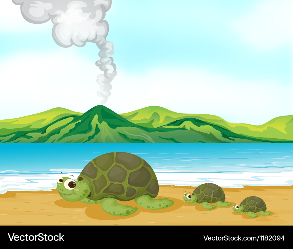 Cartoon Beach turtles Royalty Free Vector Image