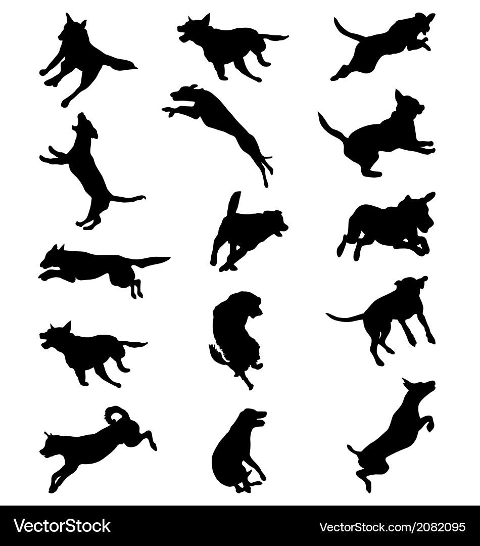 Dogs jumping Royalty Free Vector Image - VectorStock