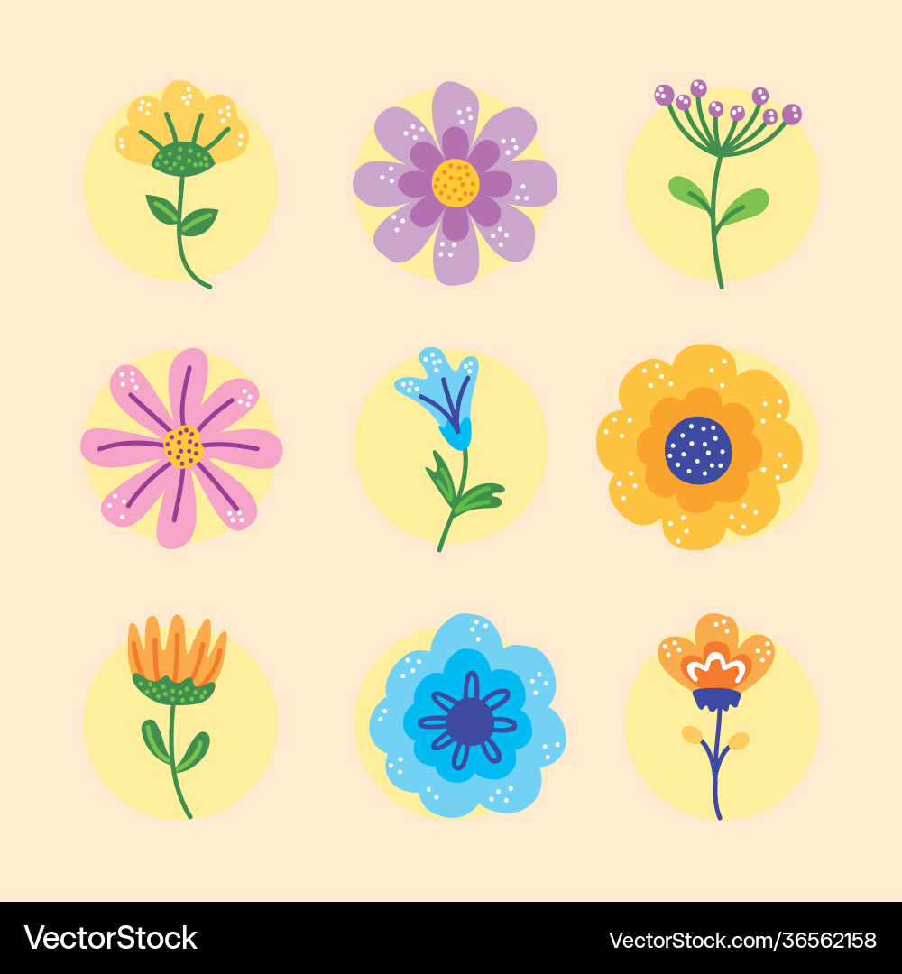 Spring season flowers Royalty Free Vector Image