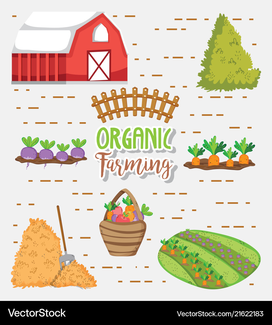 Organic farming cartoons Royalty Free Vector Image