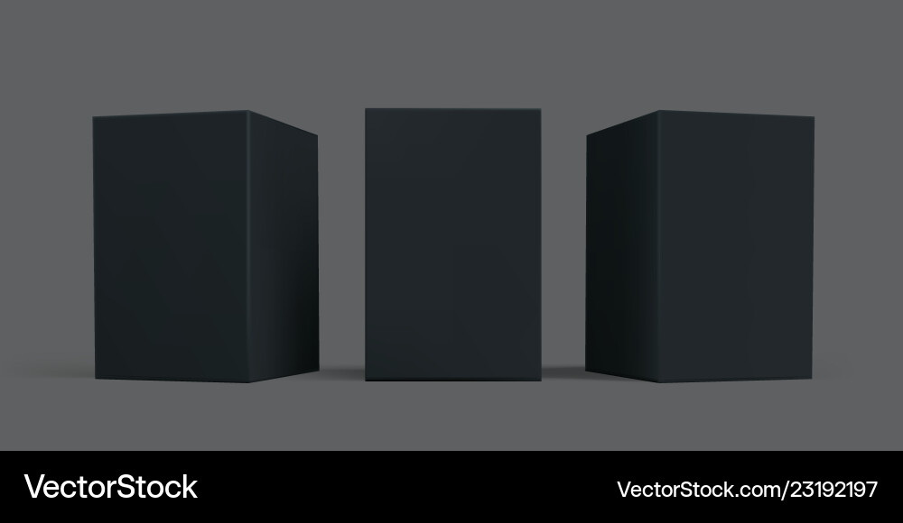 Black box package mock-up set carton Royalty Free Vector