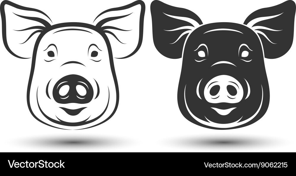 Face pig Royalty Free Vector Image - VectorStock