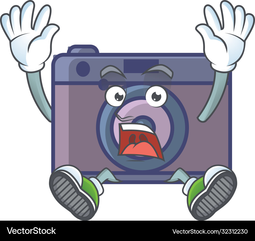 A picture retro camera cartoon design Royalty Free Vector