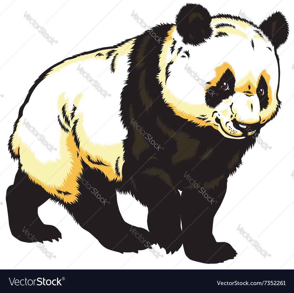 Panda Royalty Free Vector Image - VectorStock