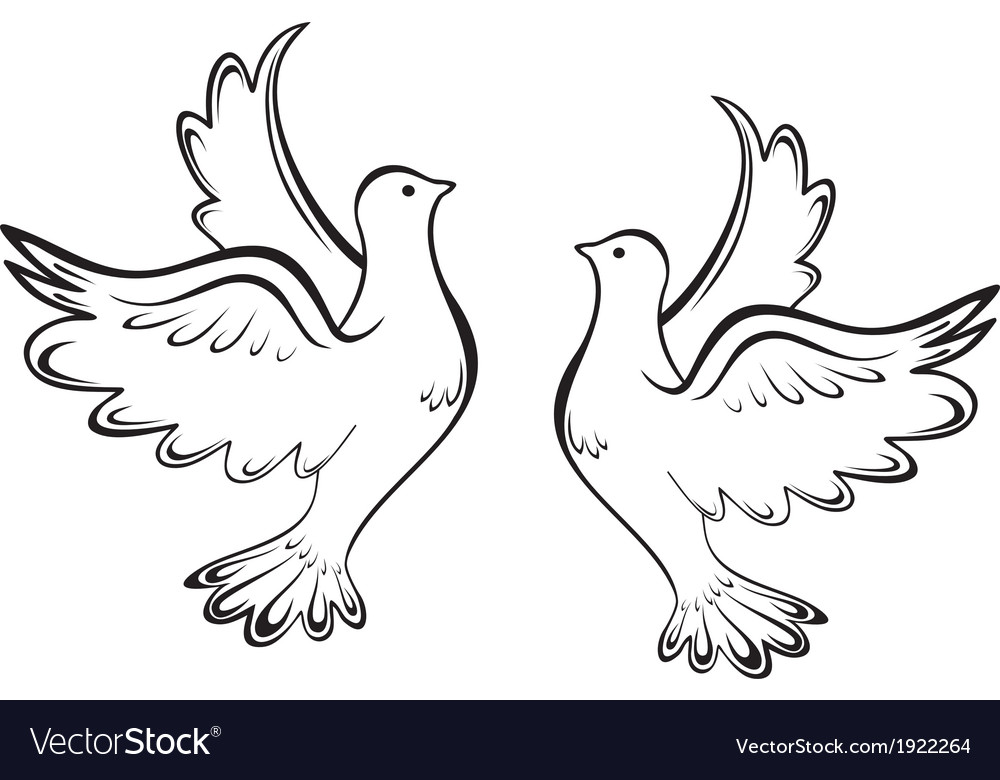 Two dove Royalty Free Vector Image - VectorStock