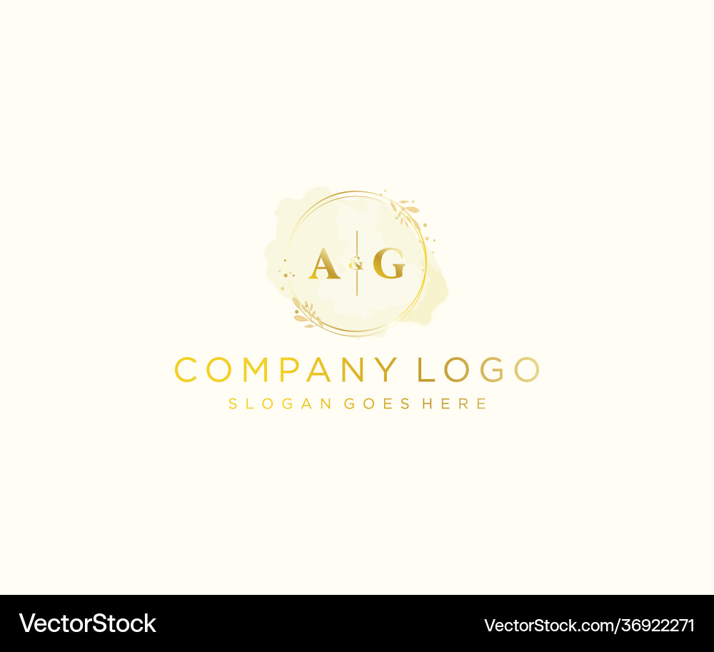 Initial ag letters colorful watercolor splash Vector Image