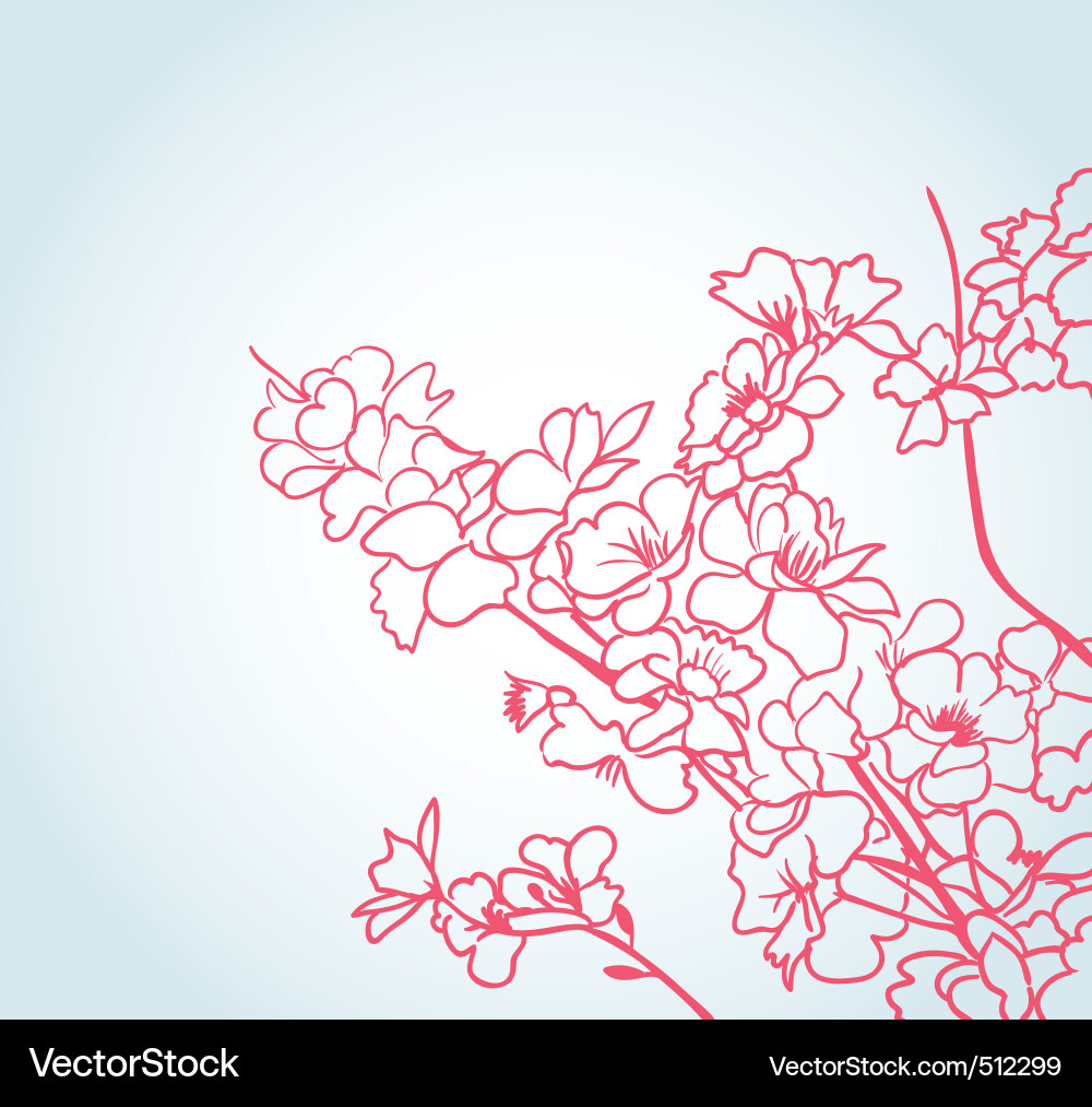 Sakura Royalty Free Vector Image - VectorStock