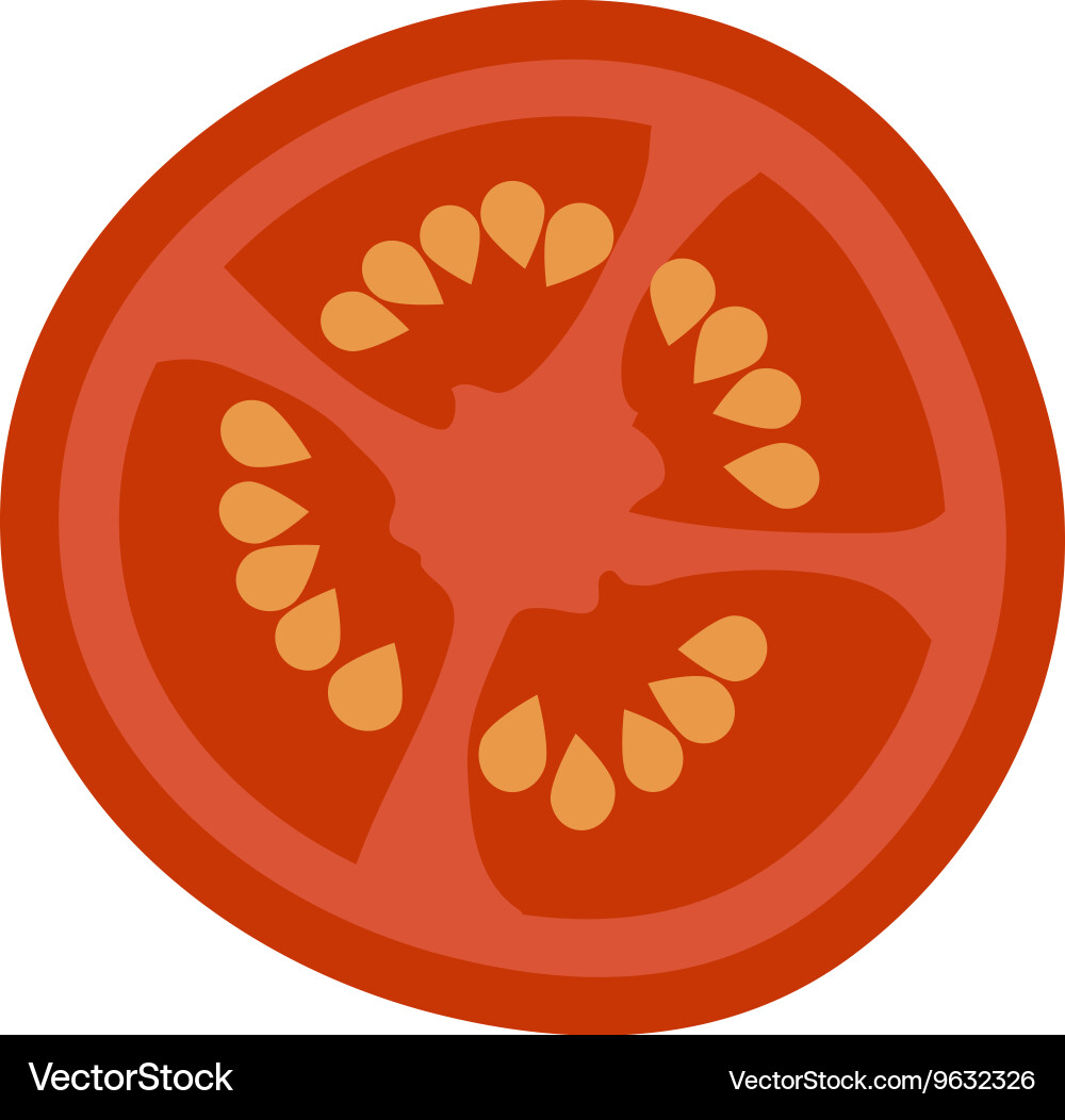 Tomato slice isolated Royalty Free Vector Image