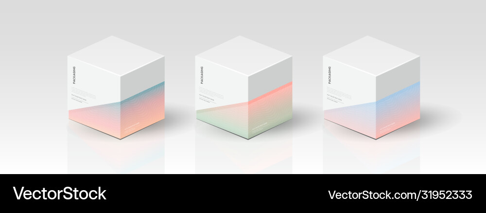 Box packaging template for product design Vector Image