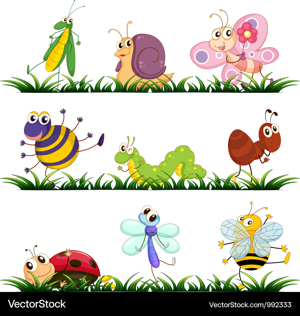 Bugs cartoon Royalty Free Vector Image - VectorStock