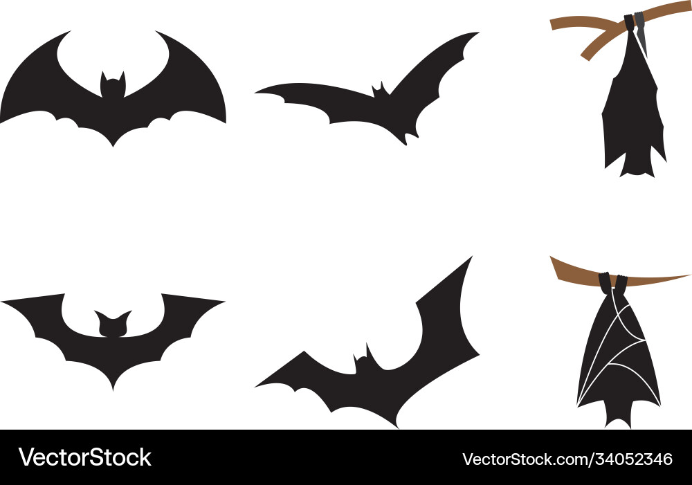 Bat flying icon design template isolated Vector Image