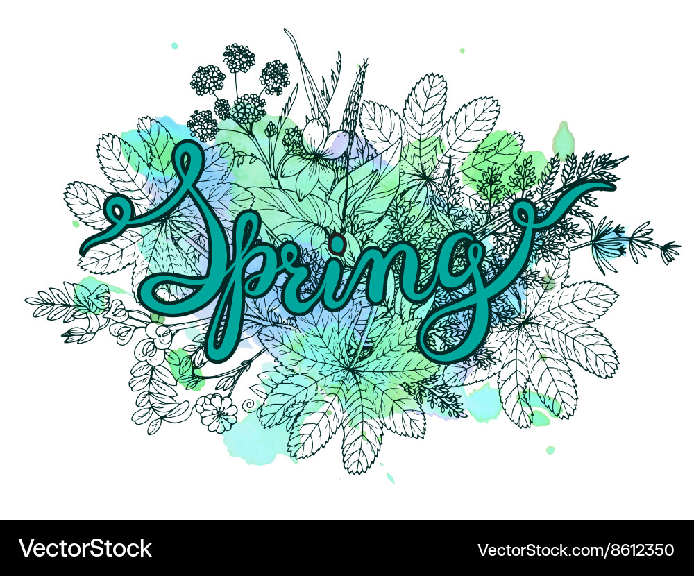 Hand lettering word spring with drawn herbs Vector Image