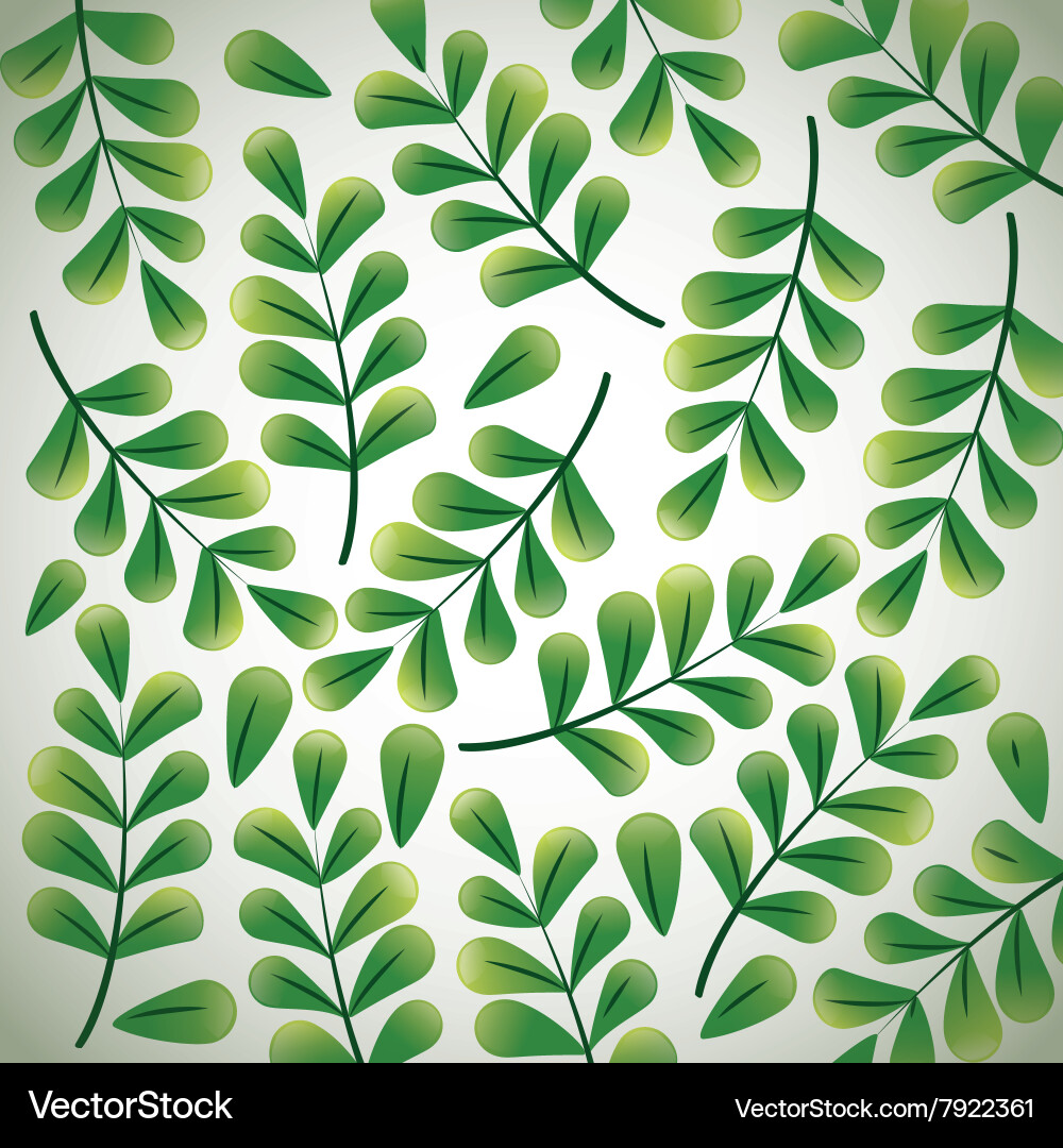 Foliage icon design Royalty Free Vector Image - VectorStock
