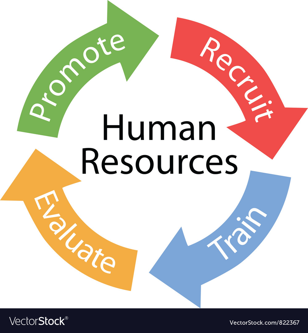 Human Resources cycle Royalty Free Vector Image