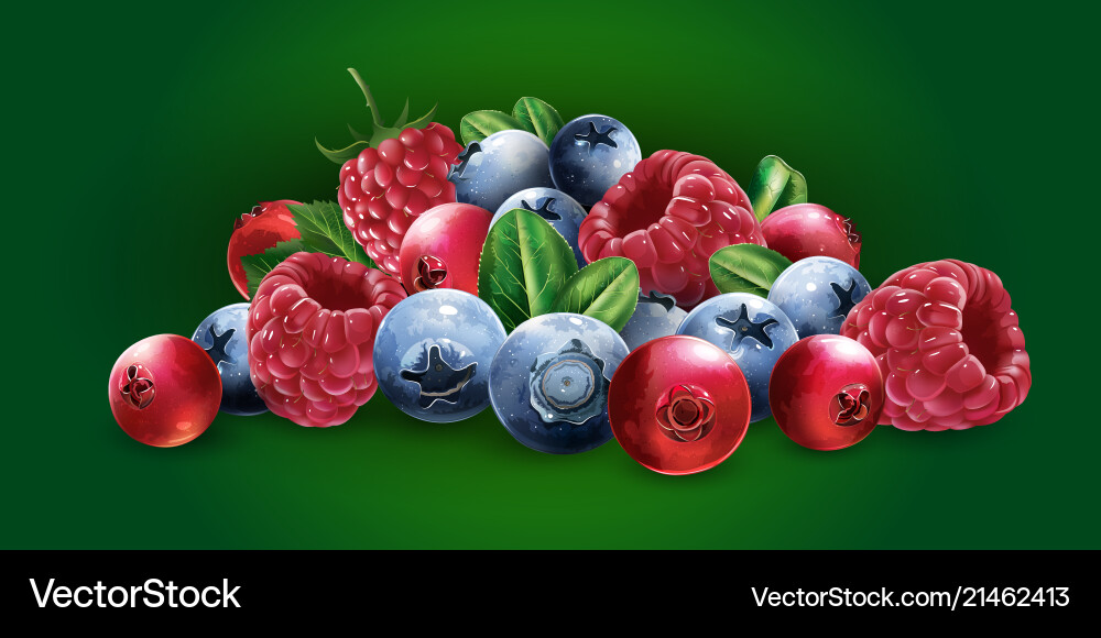 Raspberries cranberries blueberries Royalty Free Vector