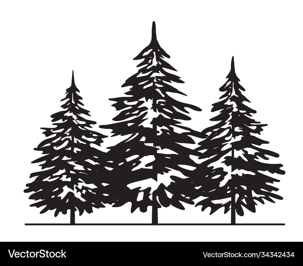 Black spruce trees winter season design elements Vector Image