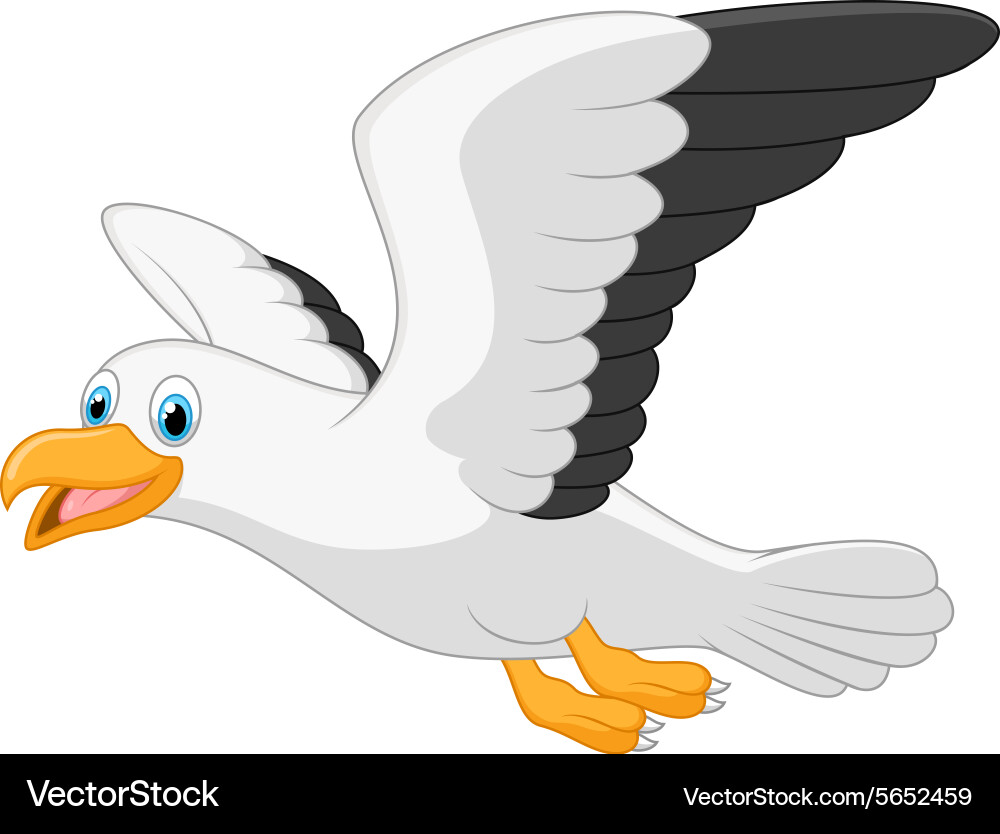 Cartoon smiling seagull on white background Vector Image