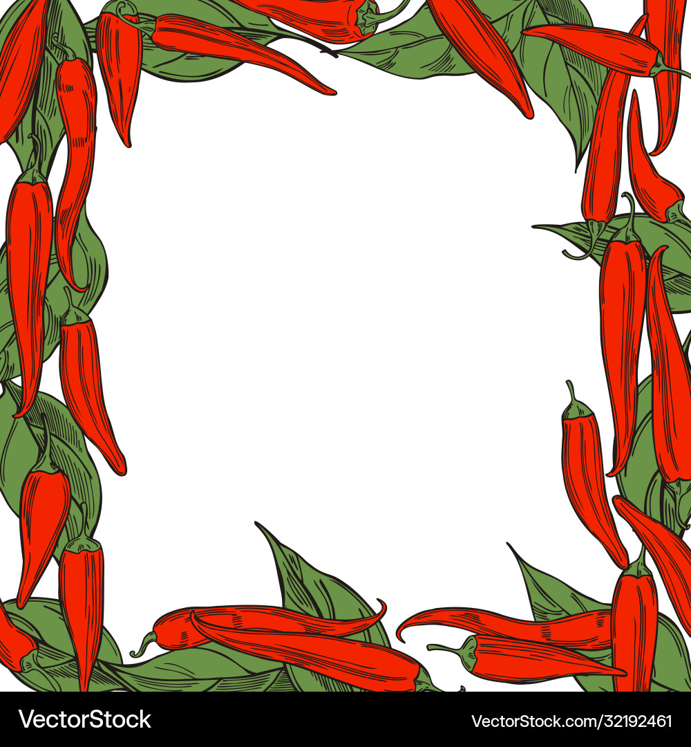 Background with hand drawn chili peppers Vector Image