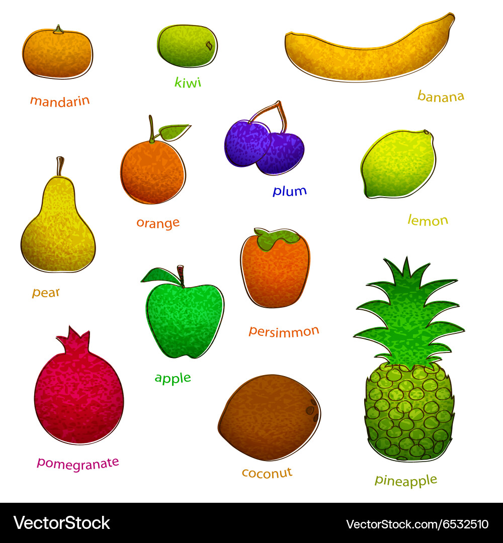 Fruit set with texture Royalty Free Vector Image
