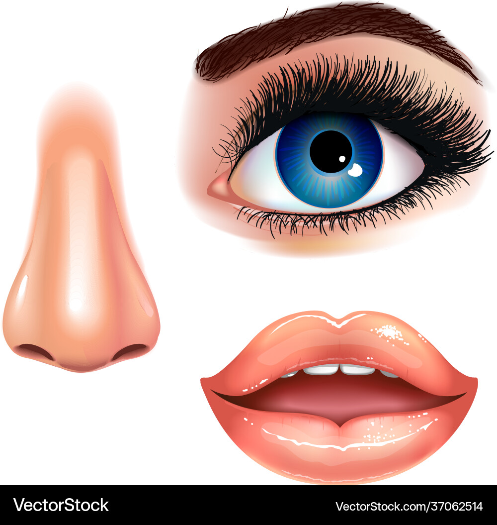 Set beautiful female eye with extended Royalty Free Vector