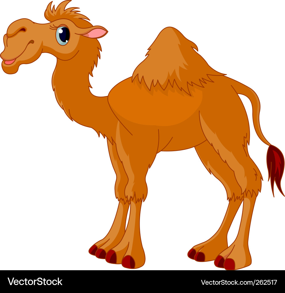 Camel Royalty Free Vector Image - VectorStock