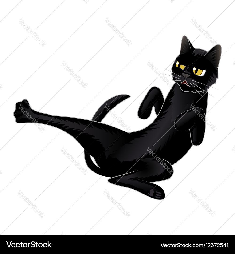 Cute black cat fighting on white background Vector Image