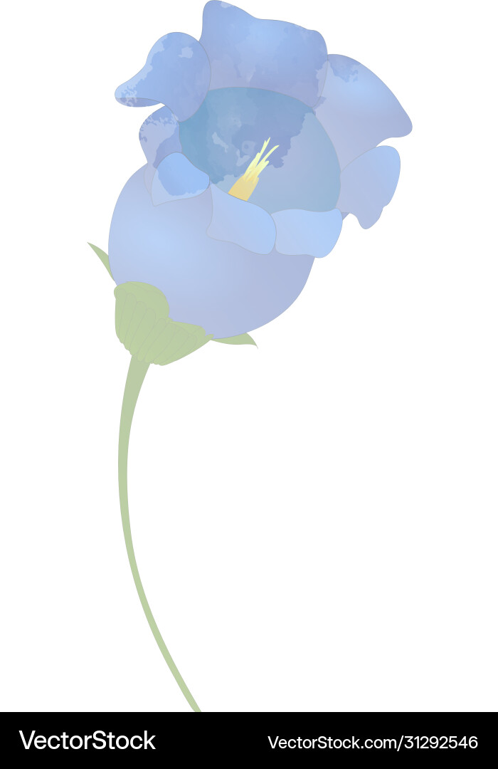 Bell flower Royalty Free Vector Image - VectorStock