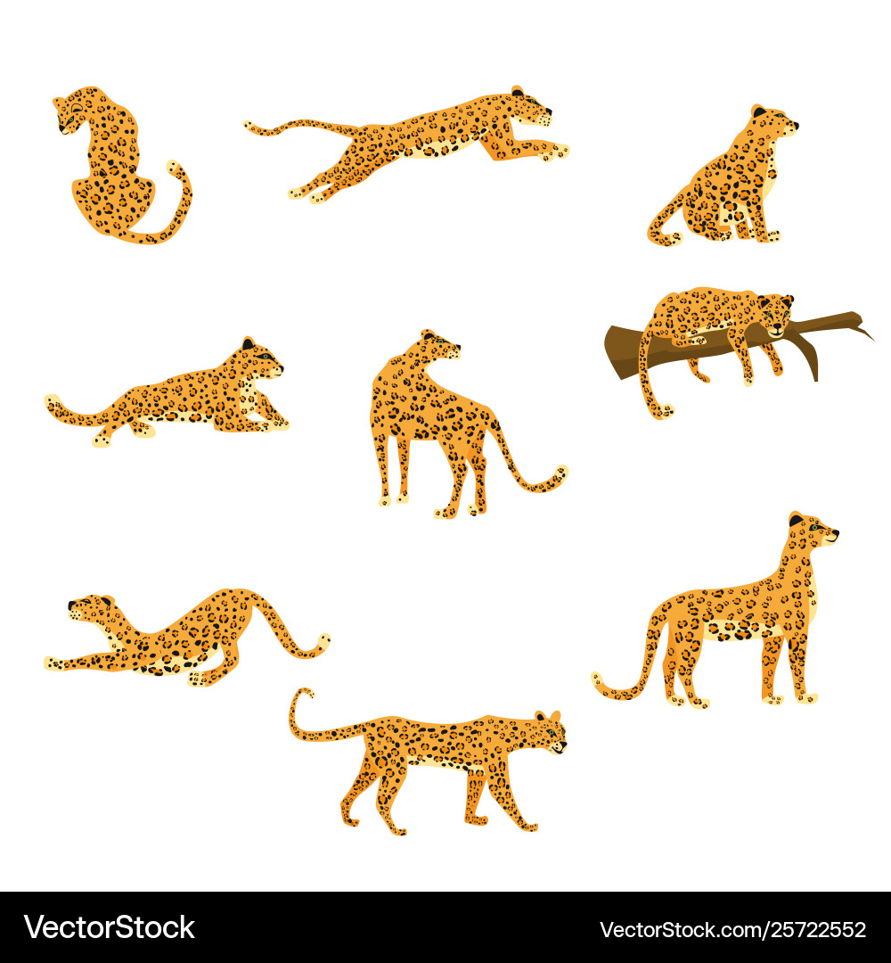 Set leopards in various poses cute trend style Vector Image
