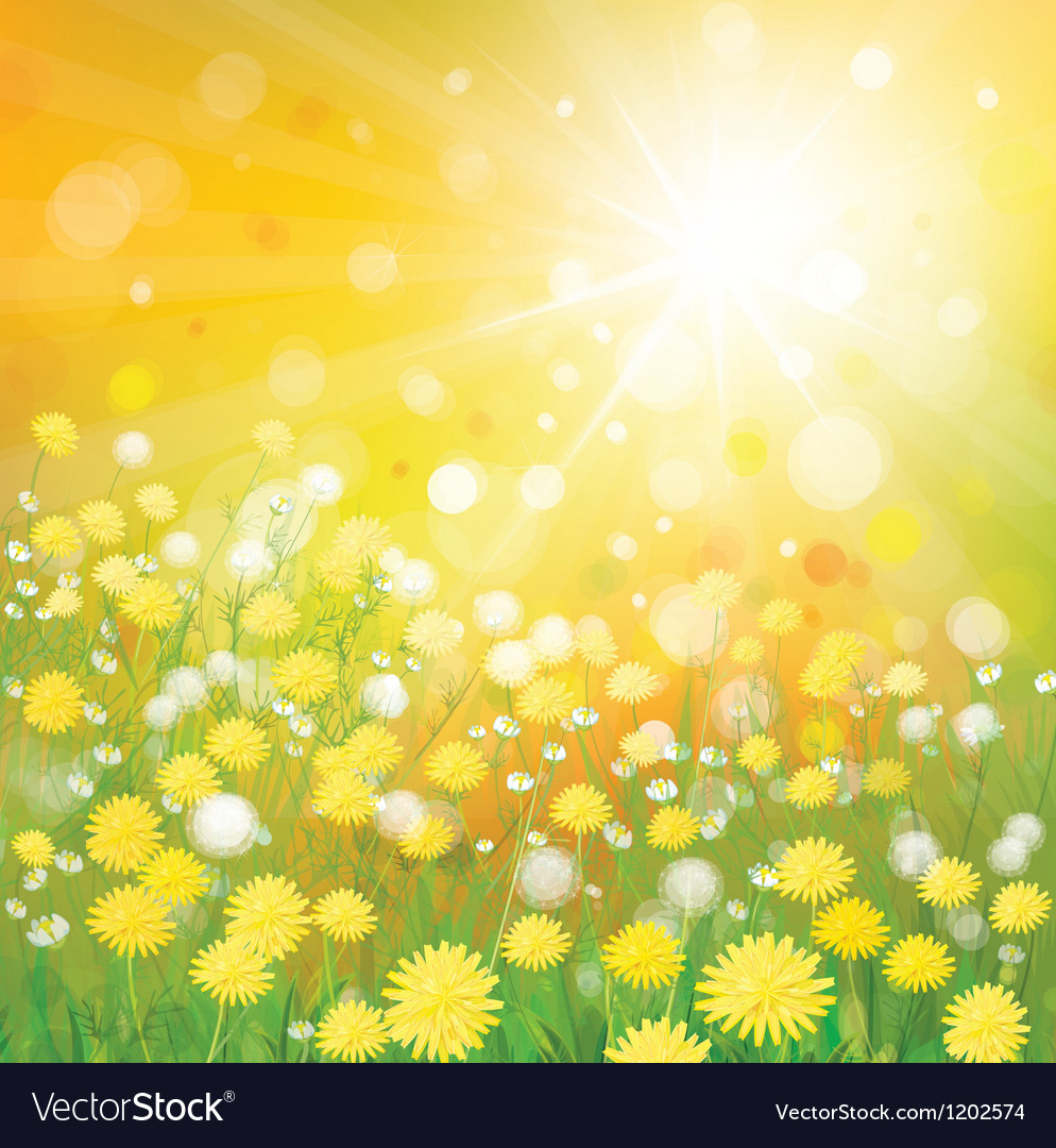 Spring background Royalty Free Vector Image - VectorStock