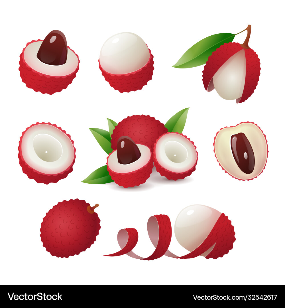 Whole cut in half peeled lychee set Royalty Free Vector