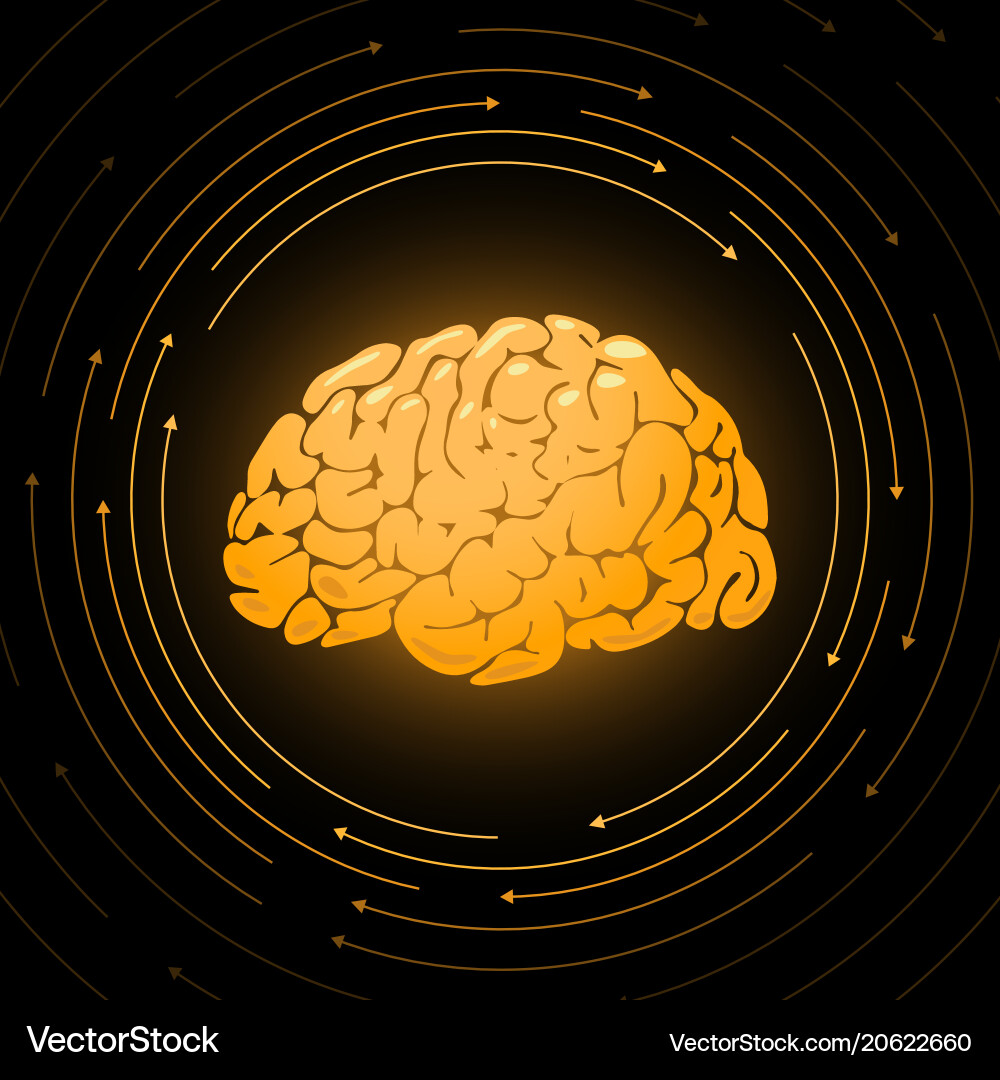 Golden brain smart mind Royalty Free Vector Image