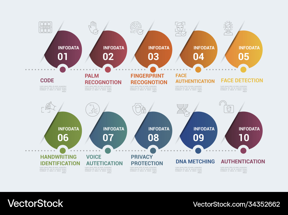 Infographic authentication template icons Vector Image