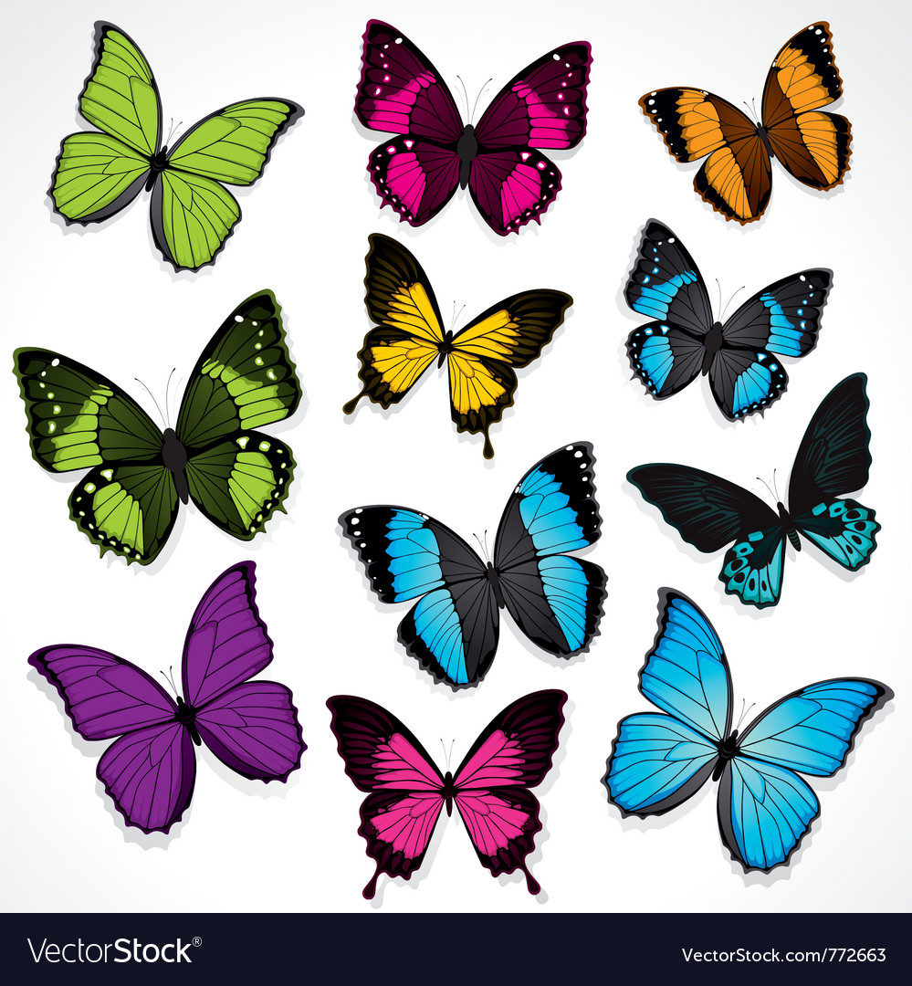 Set of colorful butterflies Royalty Free Vector Image - VectorStock