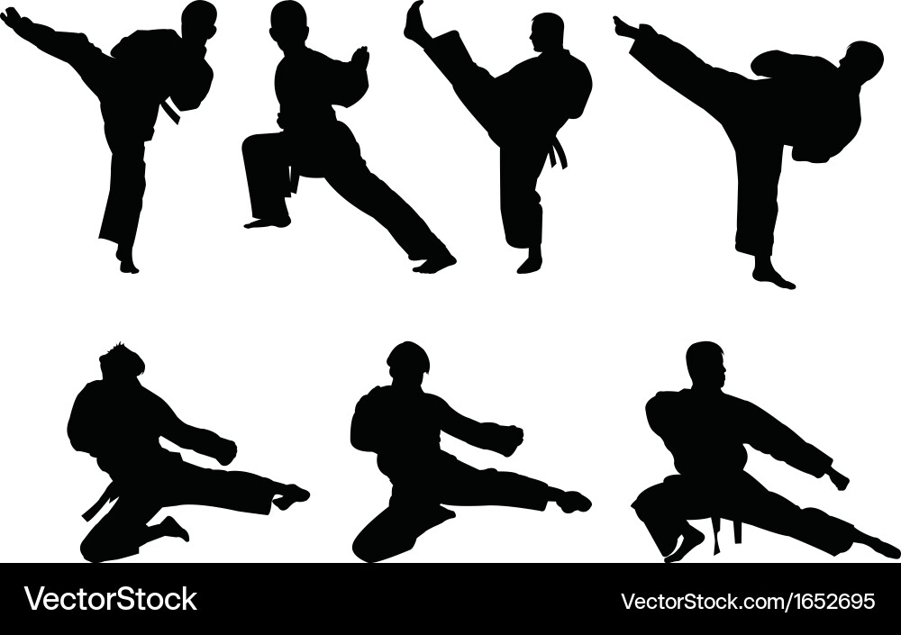 Karate set Royalty Free Vector Image - VectorStock