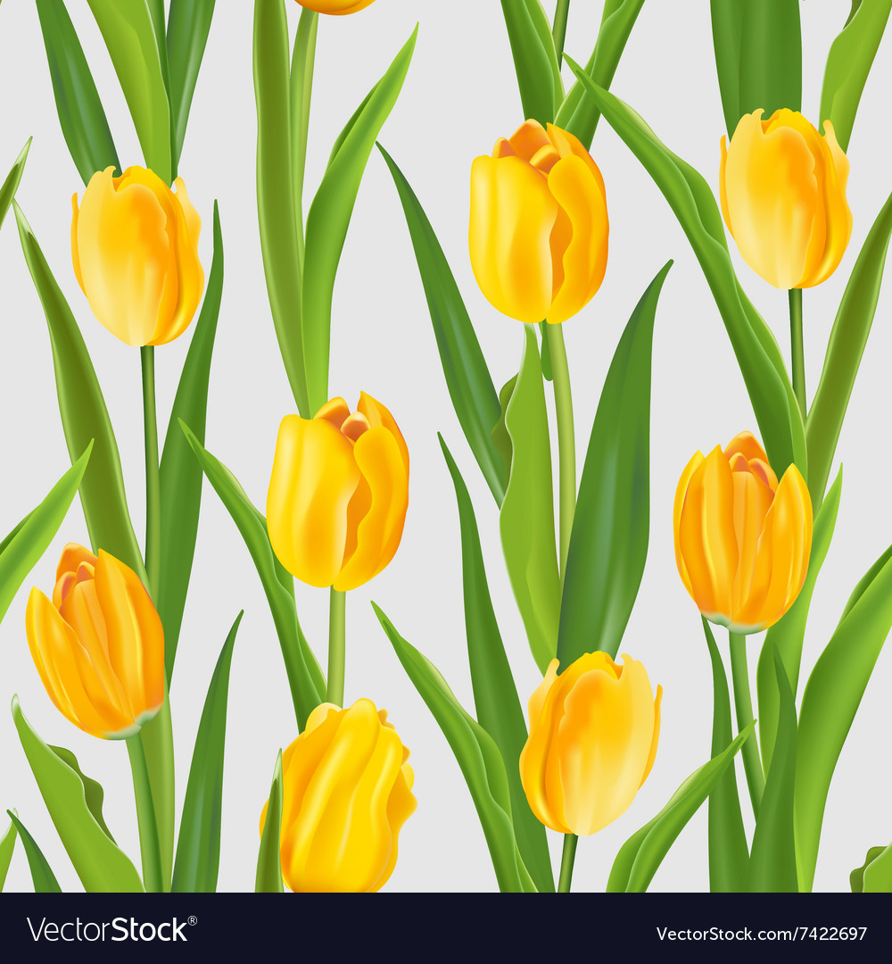 Spring flower background - seamless pattern Vector Image