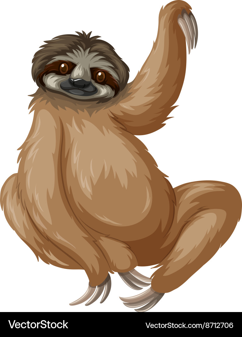 Sloth lifting one arm up Royalty Free Vector Image