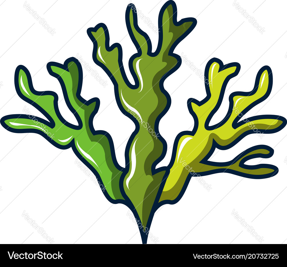 Seaweed icon cartoon style Royalty Free Vector Image